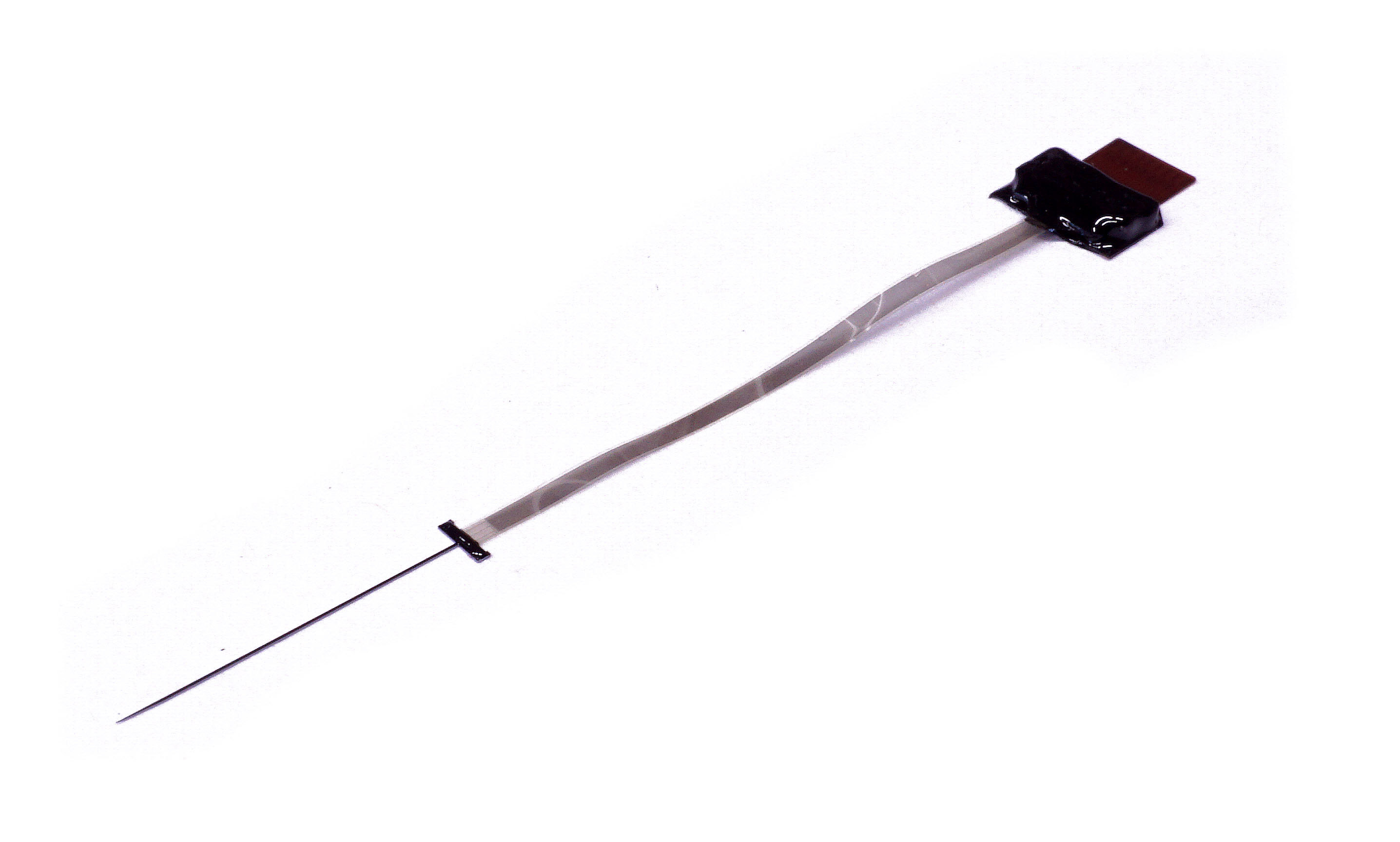 Atlas Neuro | Product E16+R-100-S1-L6 NT